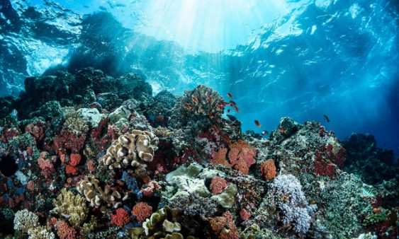 Qué ver en las Bahamas, sus imprescindibles | Blog StayTick